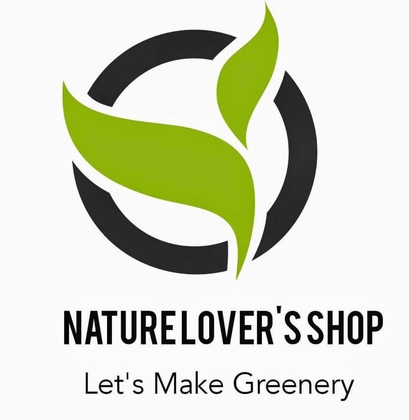 variegated zz plant › natureloversshop.com